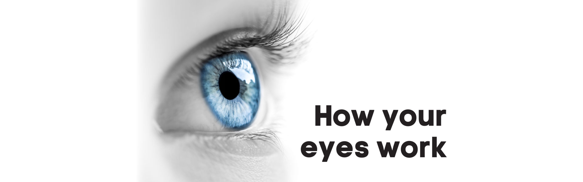 How your eye works? | J.S. Lowry Eyecare | Jarrow